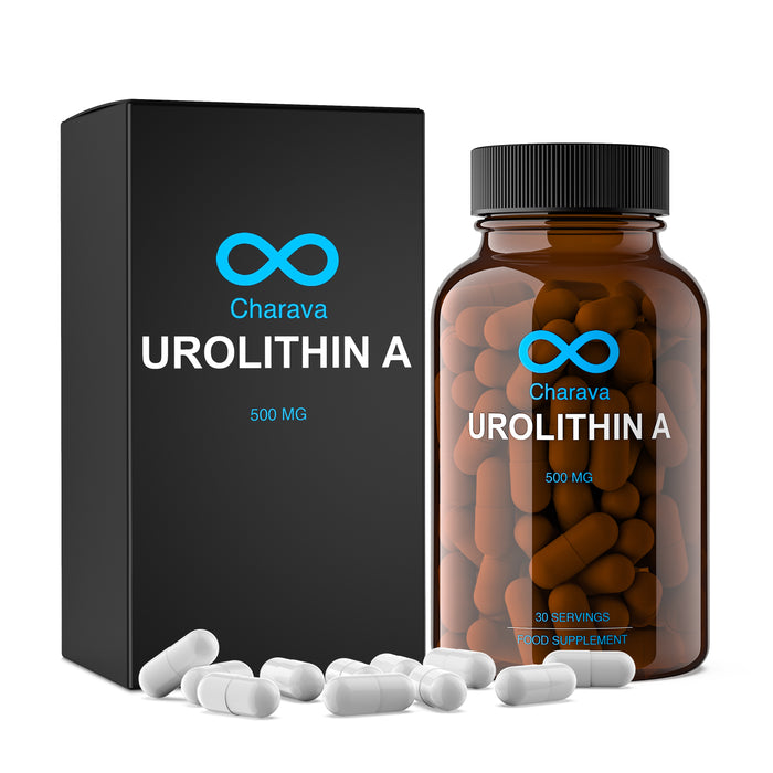 Urolithin A Supplements | Urolithin A 500mg | Charava SA